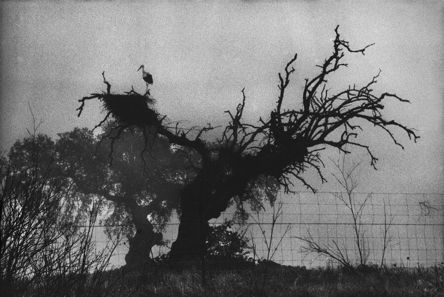 © Gabrielle Duplantier – LES YEUX AVIDES